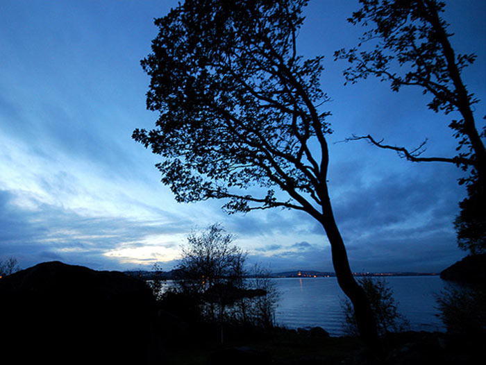 Poezia zilei: ”Visez un cer tăcut” – Dan Botta | Rotalianul - Revista ...