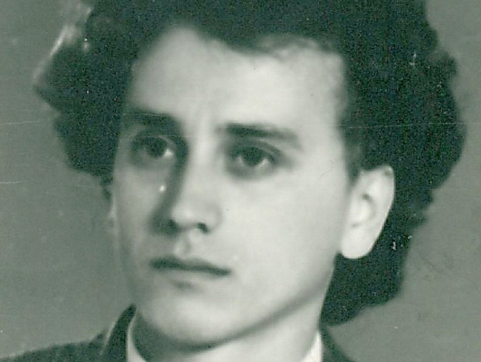 Poezia zilei: „Păsări în amurg” – Cezar Baltag | Rotalianul - Revista ...